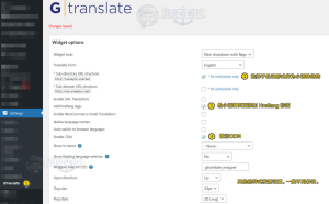 Gtranslate 多语言网站插件自动翻译使用教程 - 外贸老船长